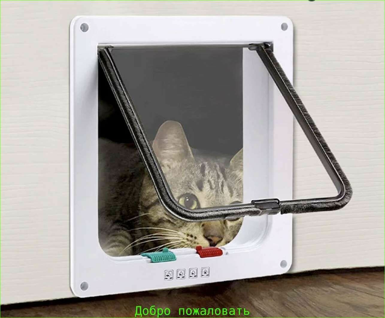 Дверца для кошек — фото 1