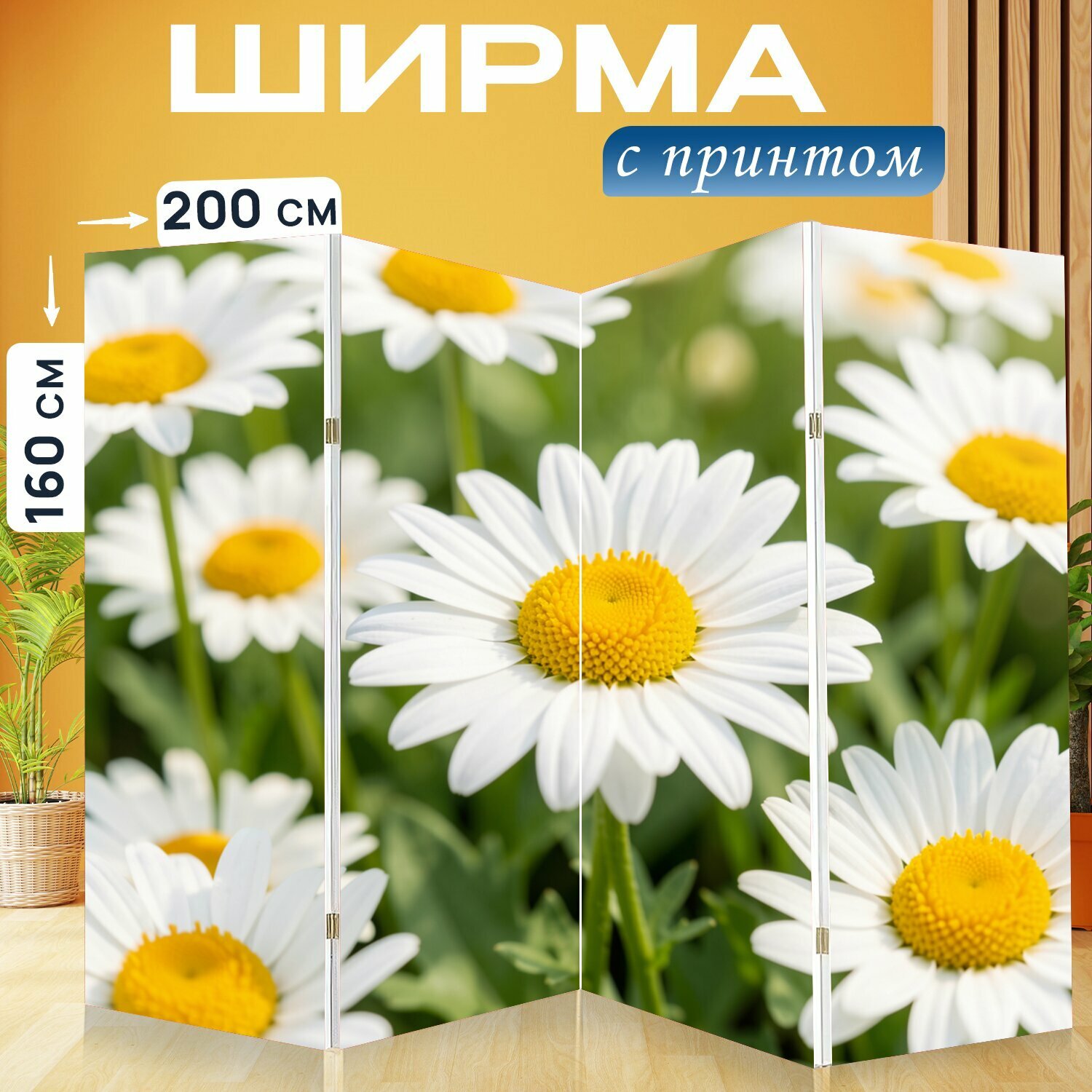 Ширма "Белые ромашки в солнечном саду. Нежные луговые цветы с белоснежными лепестками и ярко-желтыми." перегородка для зонирования комнаты с принтом 200x160 см. на холсте