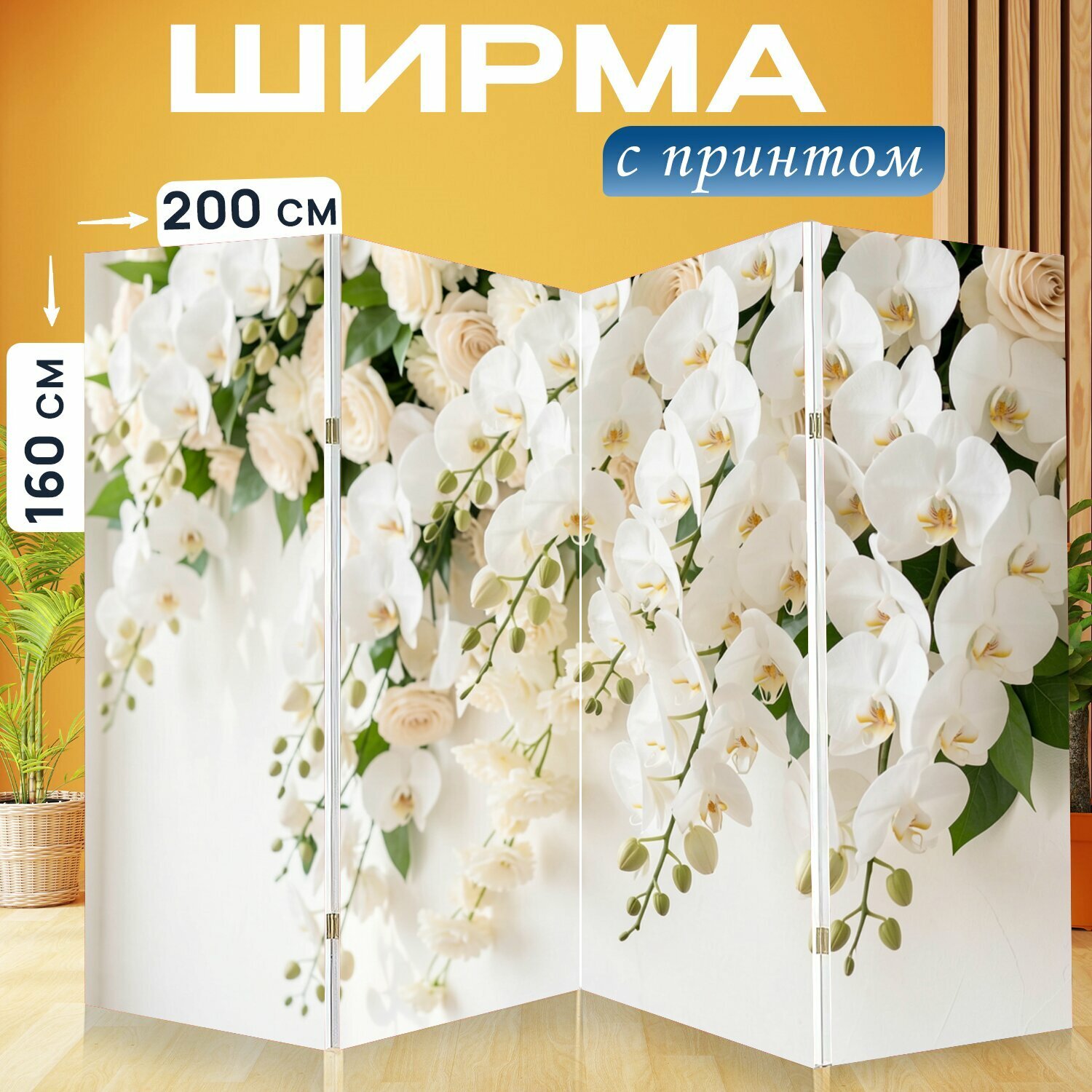 Ширма "Белые орхидеи и кремовые розы. Нежная цветочная композиция в светлых тонах: каскадные лепестки, зелёные." перегородка для зонирования комнаты с принтом 200x160 см. на холсте