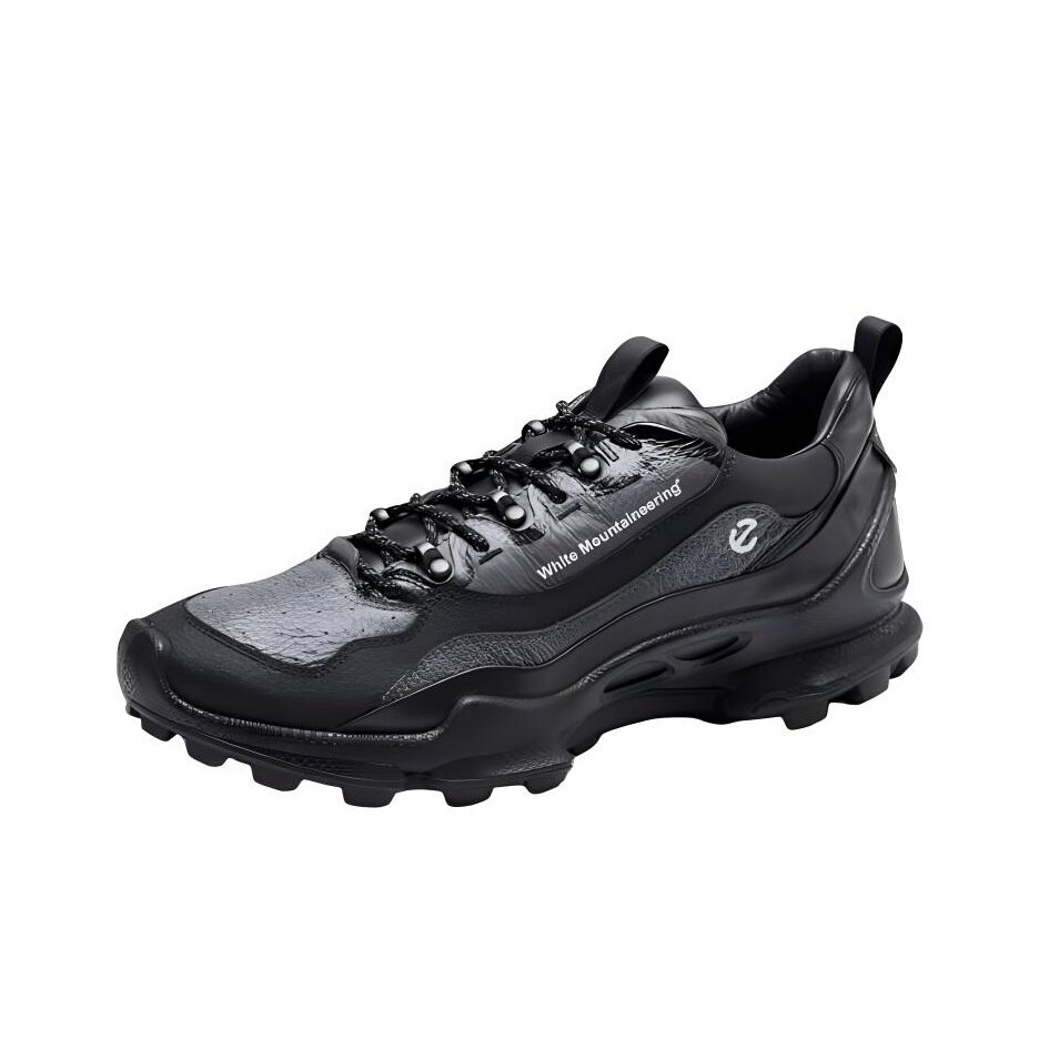 Ботинки ECCO Biom C Trail