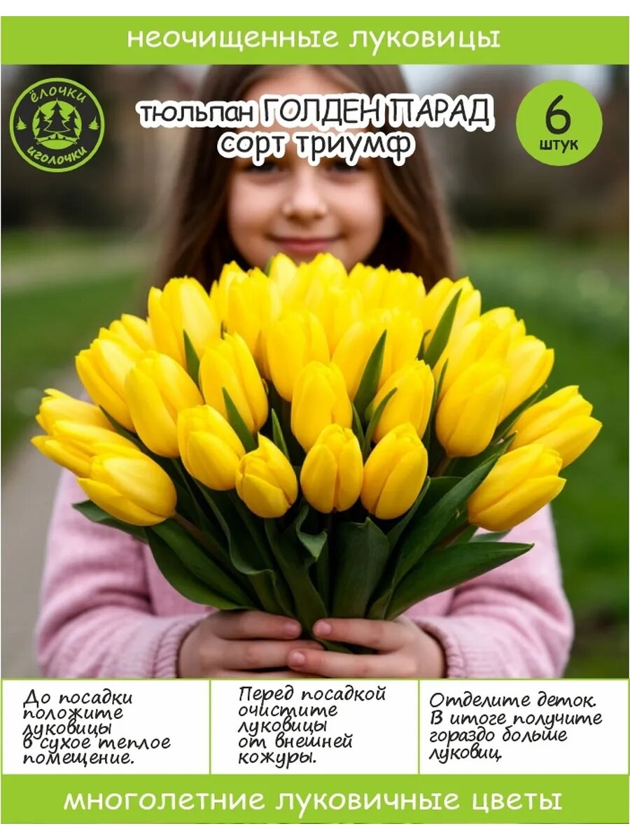 Тюльпан Луковица, Голден Парад, 6+шт