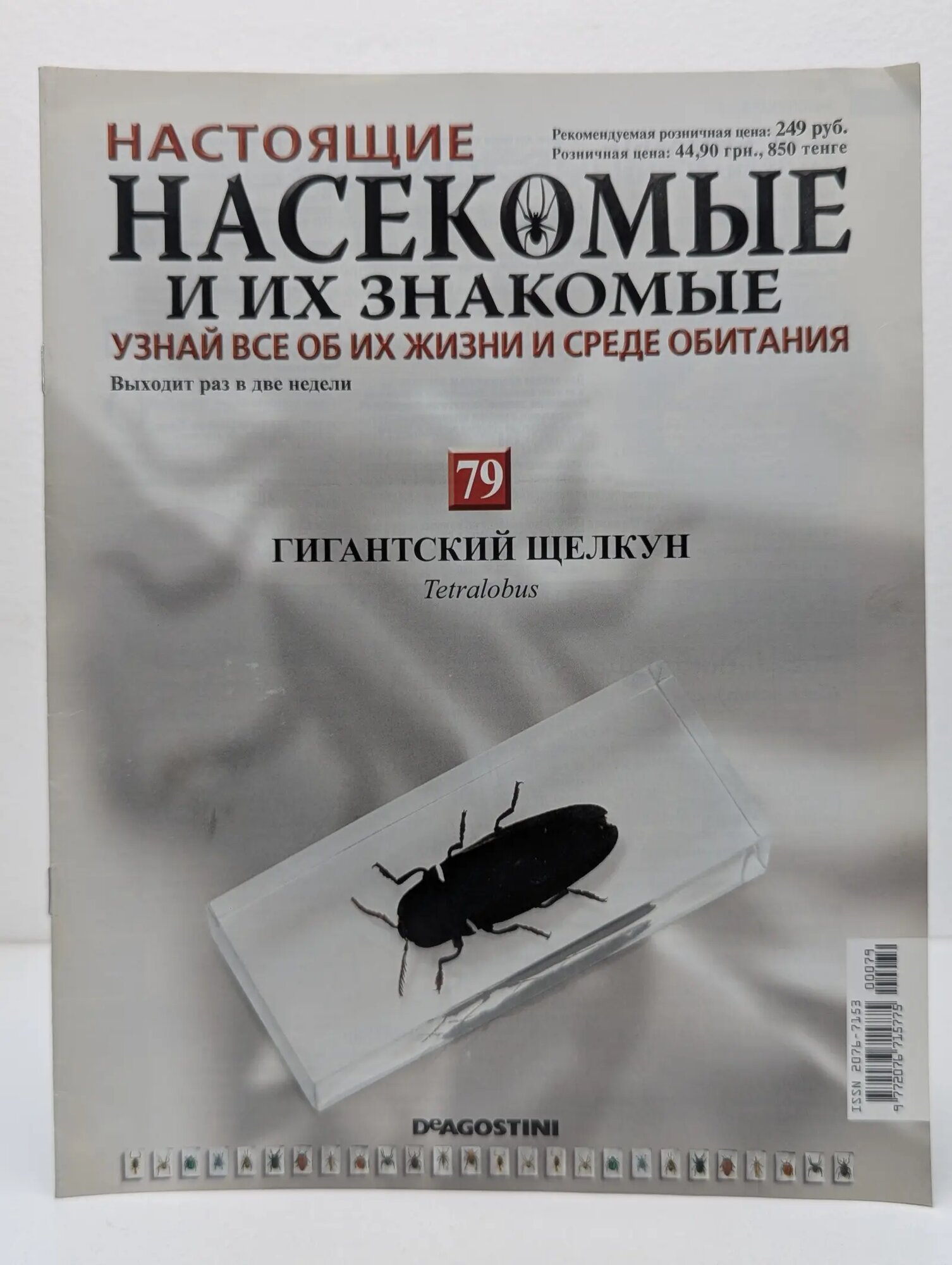 Настоящие насекомые и их знакомые. Выпуск № 79/2012. Гигантский щелкун Сборник 2012