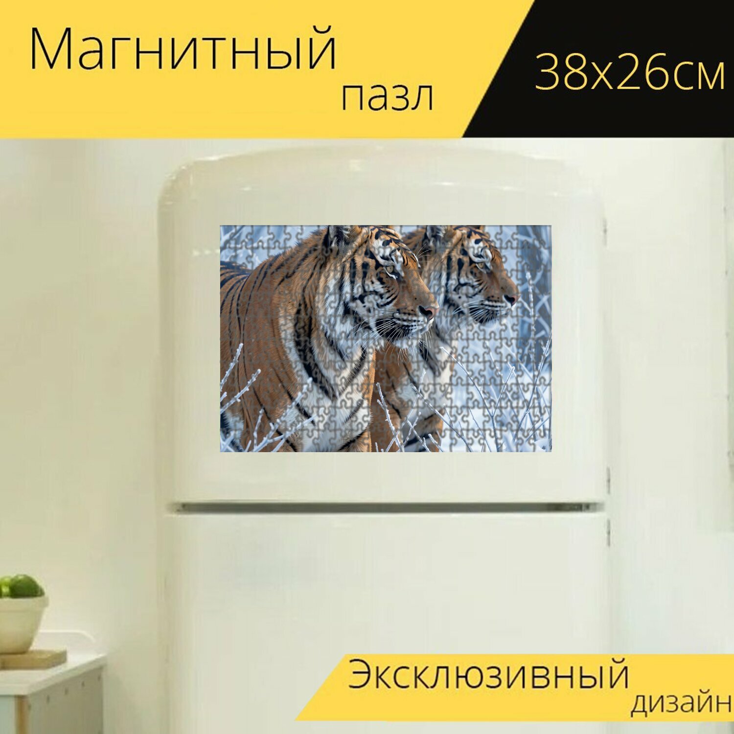 Магнитный пазл "Два тигра в зимнем лесу. Пара полосатых хищников среди заснеженных ветвей и инея. Реалистичная дикая природа, оранжево-черная шерсть." для интерьера, 38х26 см.