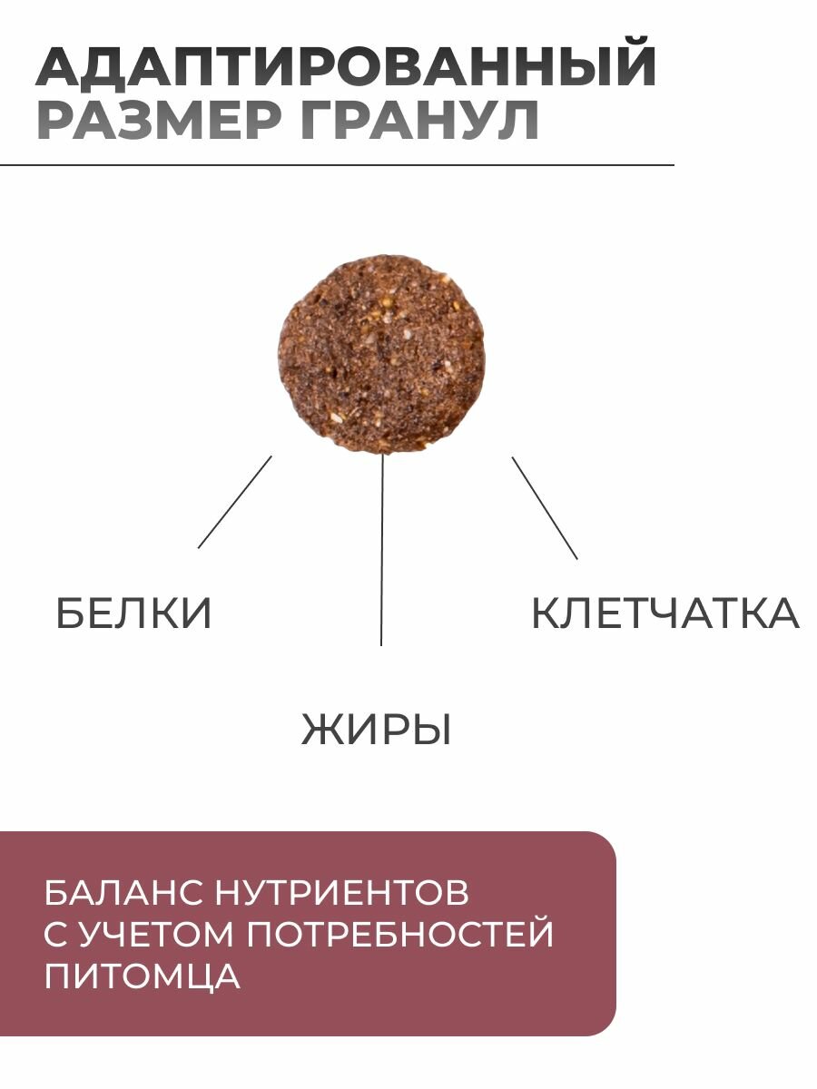 Корм сухой