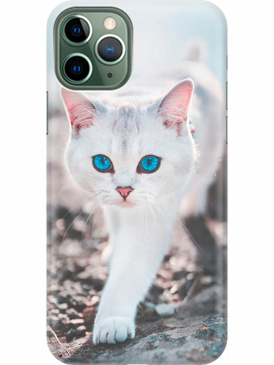 Силиконовый чехол на Apple iPhone 11 Pro / Эпл Айфон 11 Про с рисунком "Голубоглазый кот"