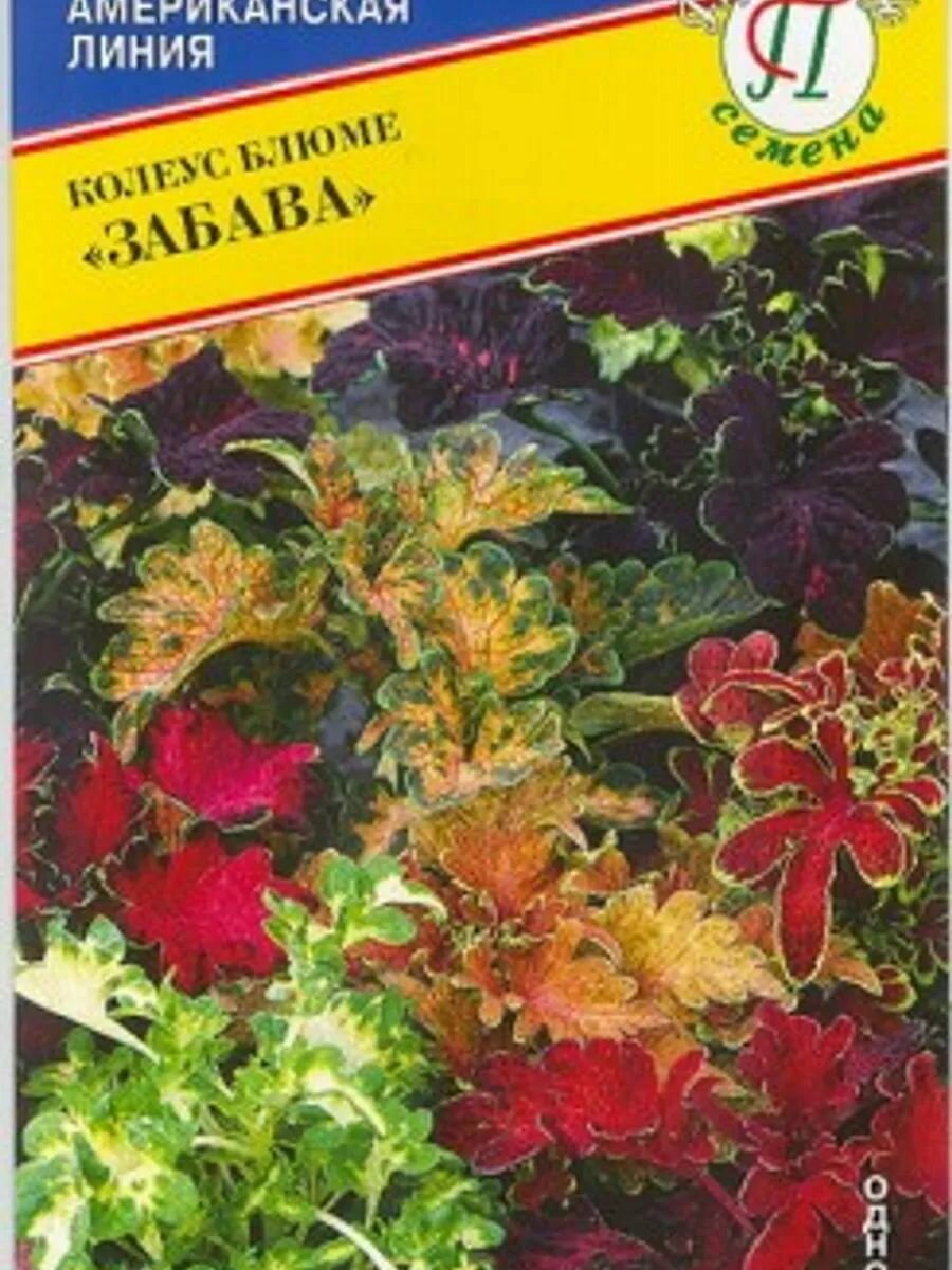 Колеус блюме Забава Смесь 10 шт, Семена Престиж