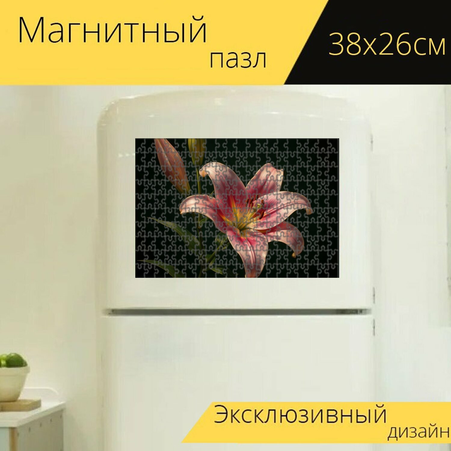 Магнитный пазл "Розовая лилия на темном фоне. Нежный цветок с раскрытыми лепестками и бутонами, ботаническая живопись, крупный план, мягкий свет, оттенки." для интерьера, 38х26 см.