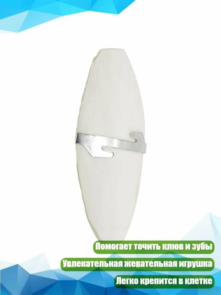 Сепия для волнистых попугаев