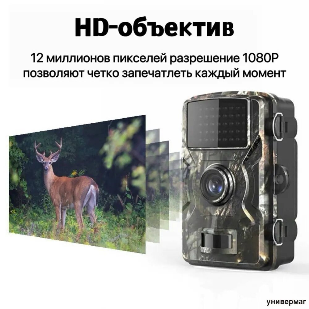 Фотоловушка — фото 1