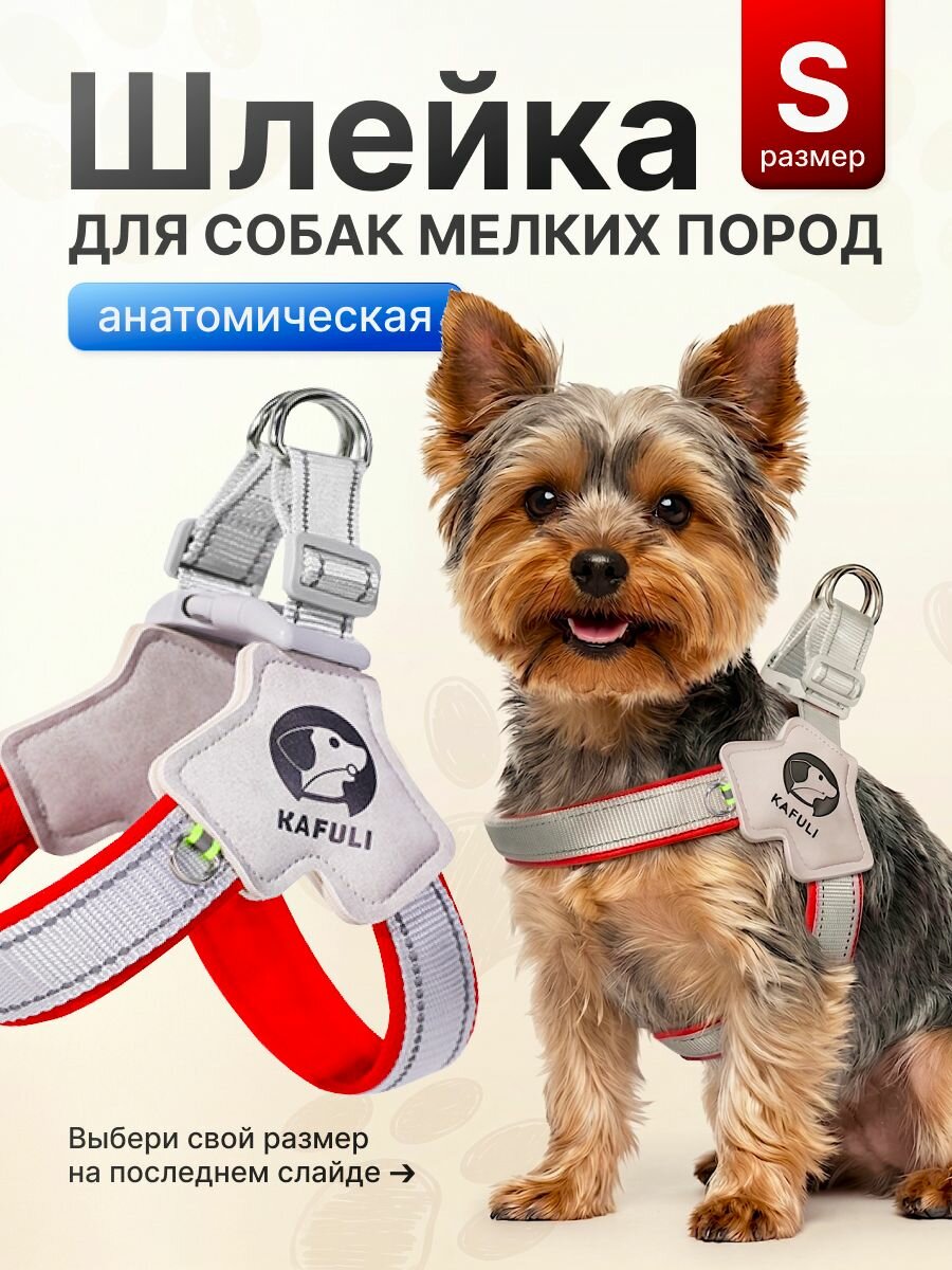 Шлейка для собак красная 4-7кг/ ошейник со светоотражающим элементом, для мелких и средних пород