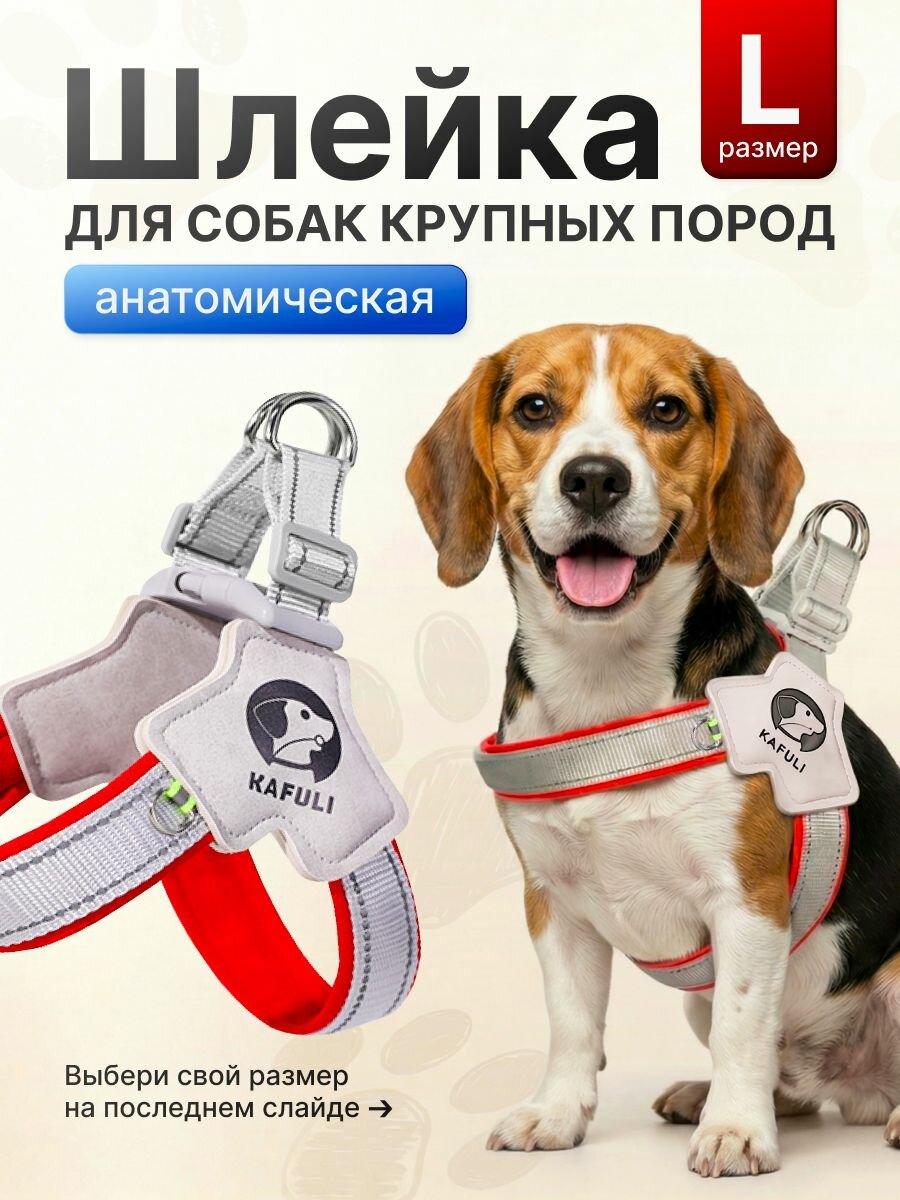 Шлейка для собак красная до 20кг/ ошейник со светоотражателем, для средних и крупных пород