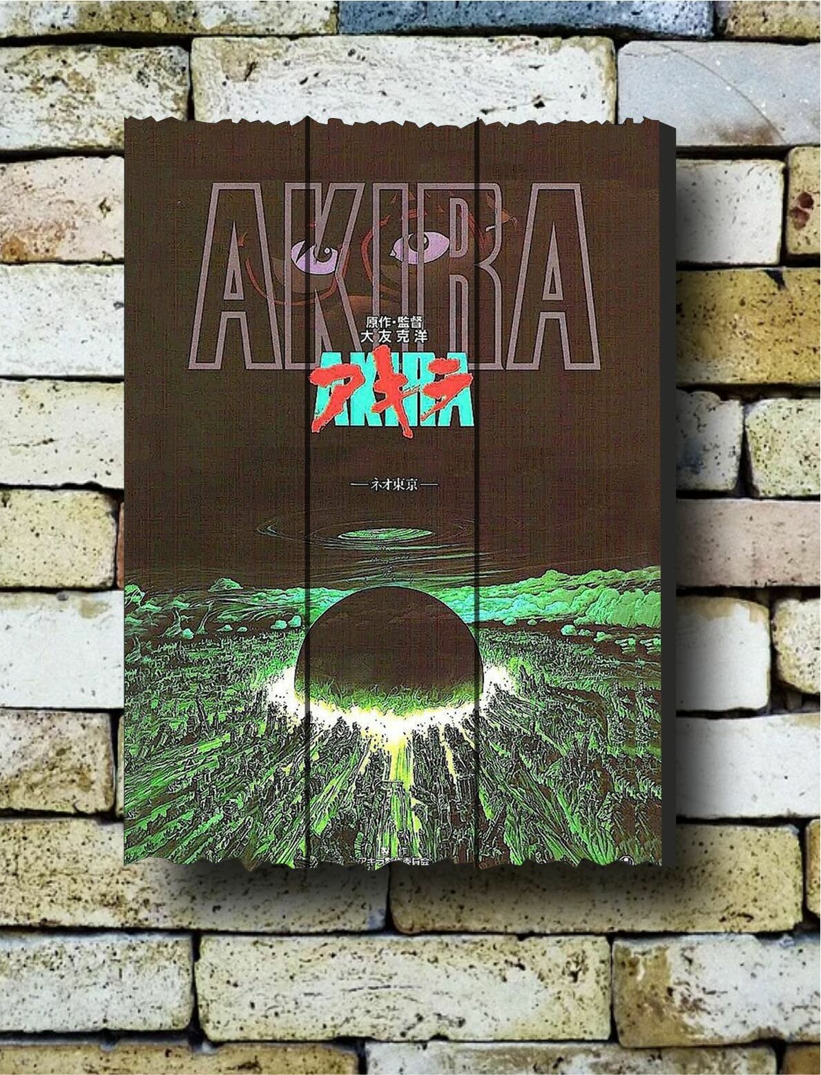 Картина на досках akira 5 Акира, аниме, Отомо
