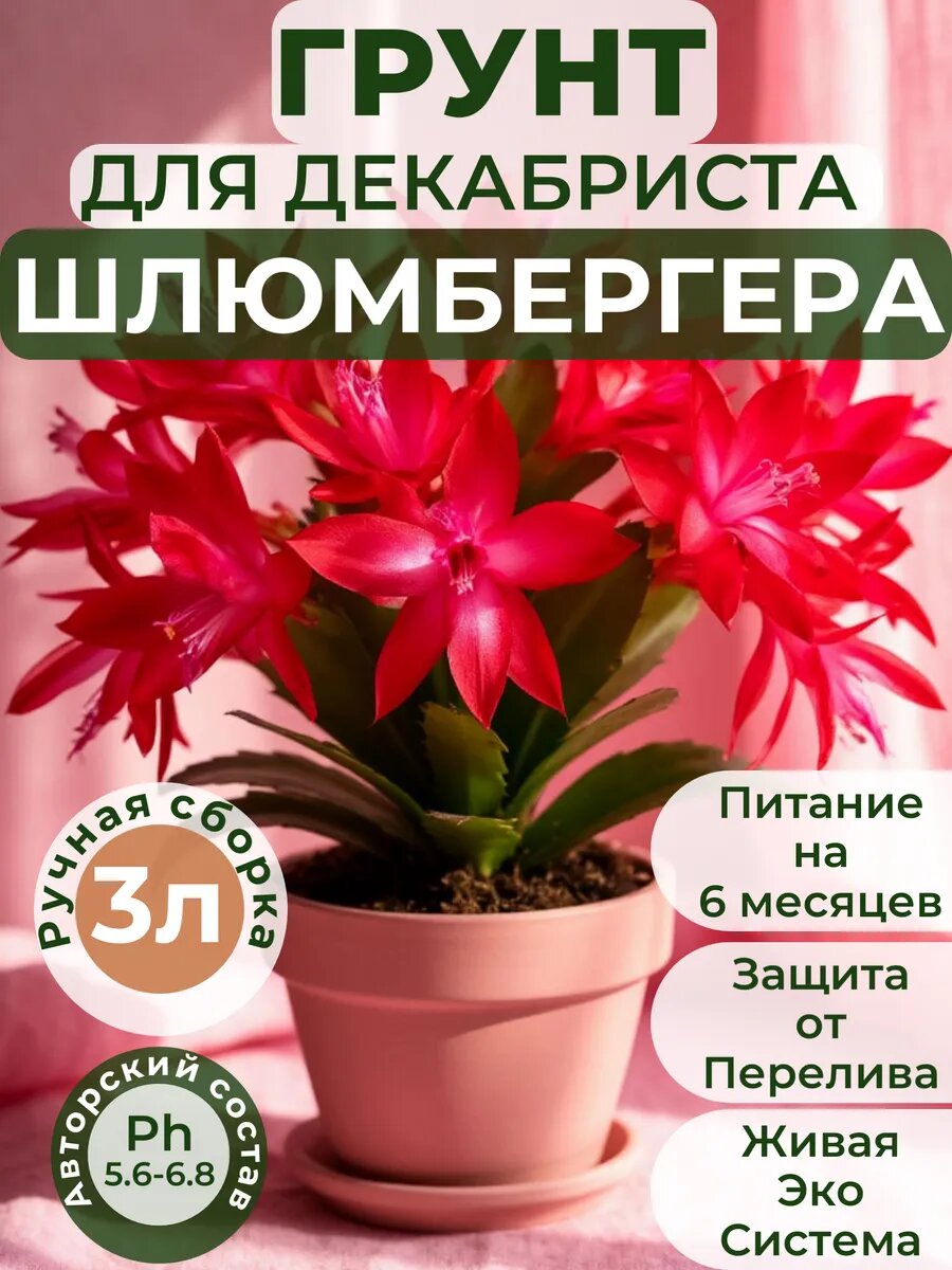 Готовый авторский грунт для Декабриста Шлюмбергера,3 л