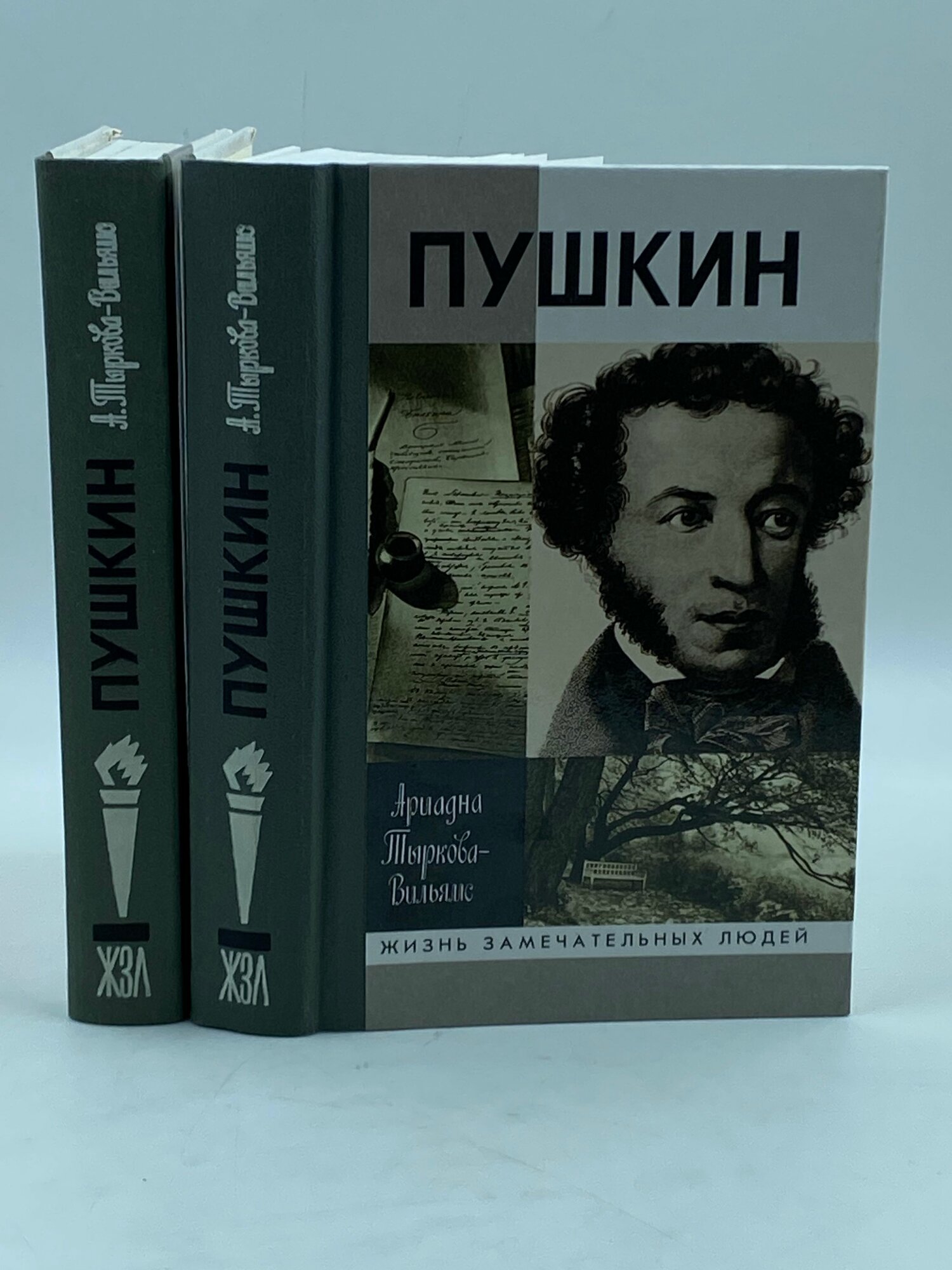 Пушкин. В 2-х томах (Комплект из 2-х книг)