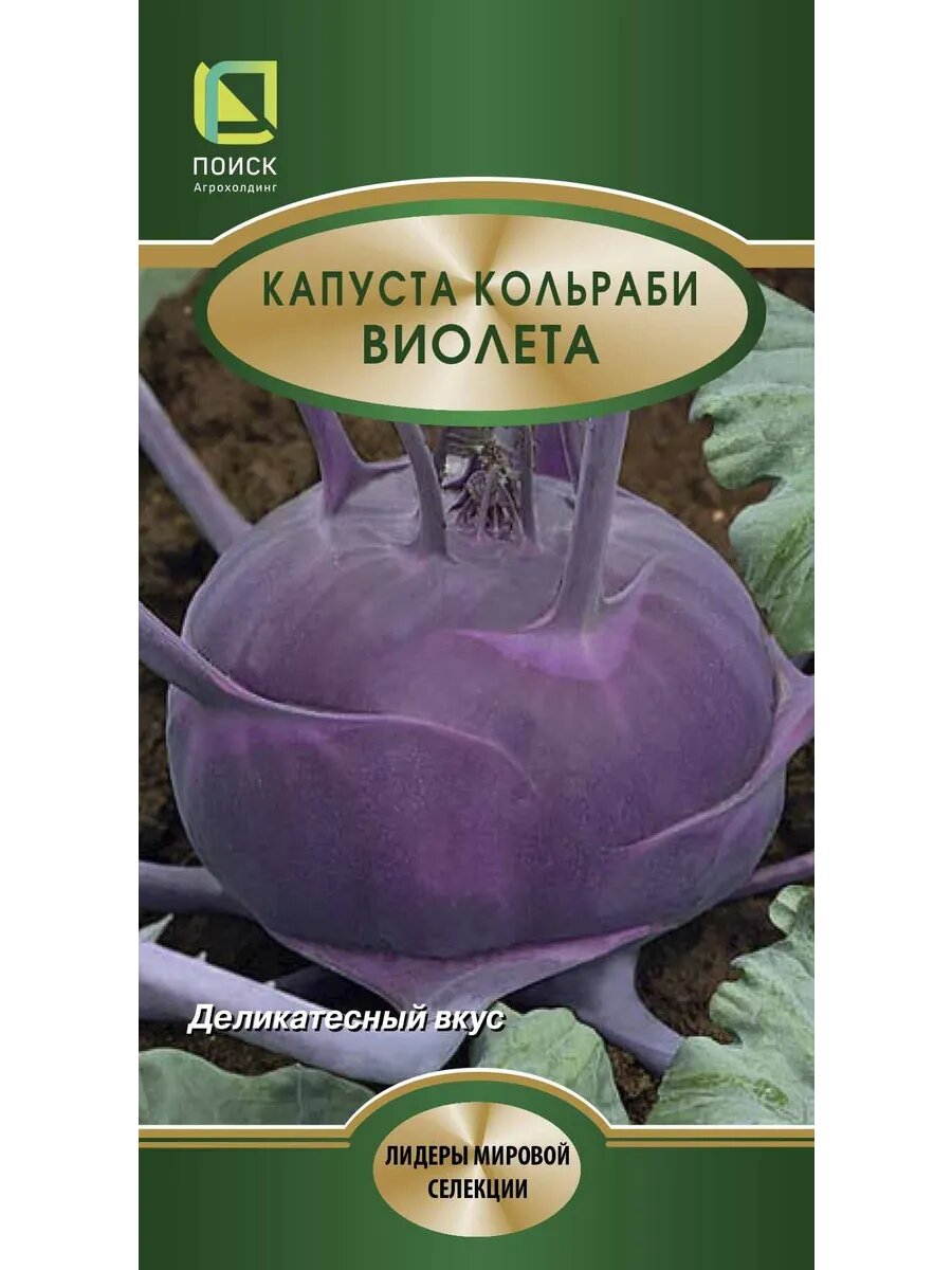 Семена овощей Поиск капуста кольраби Виолета