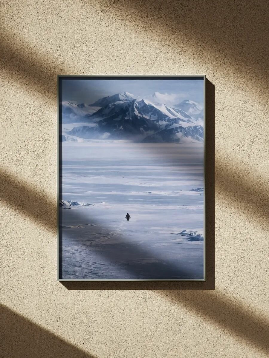 Постер на стену Пингвин идущий к горе, (30x40 см)