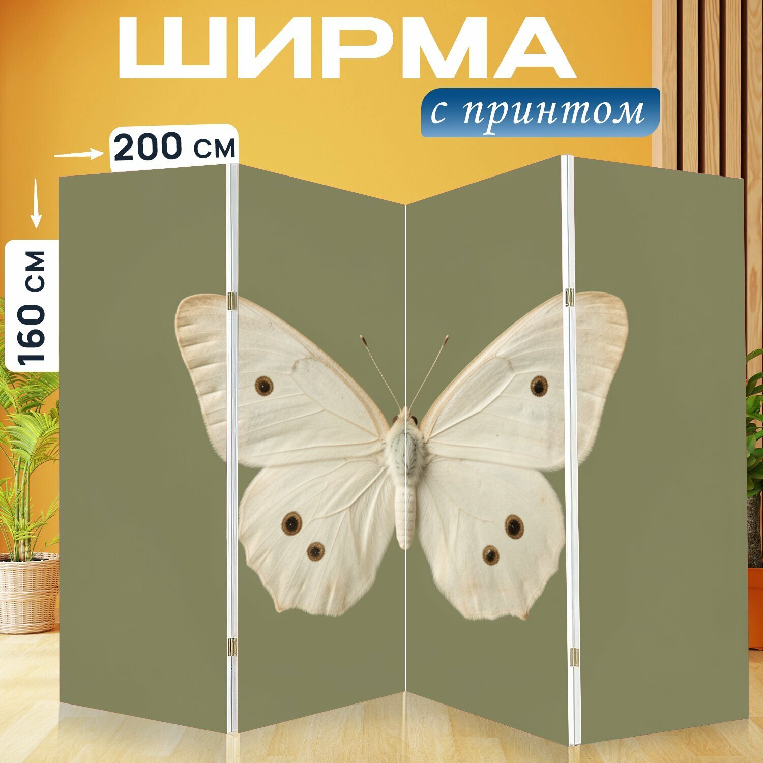 Ширма "Белая бабочка на оливковом фоне. Нежное минималистичное изображение светлого мотылька с симметричными." перегородка для зонирования комнаты с принтом 200x160 см. на холсте