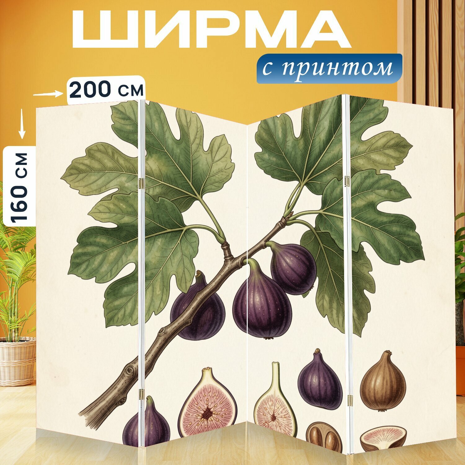 Ширма "Ветвь инжира с плодами. Ботаническая иллюстрация фигового дерева с крупными резными листьями и спелыми." перегородка для зонирования комнаты с принтом 200x160 см. на холсте