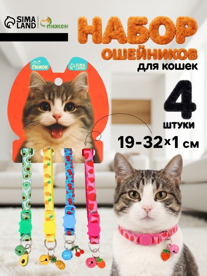 Набор ошейников для кошек Пижон "Фрукты", черный, синий, размер S, 4 штуки