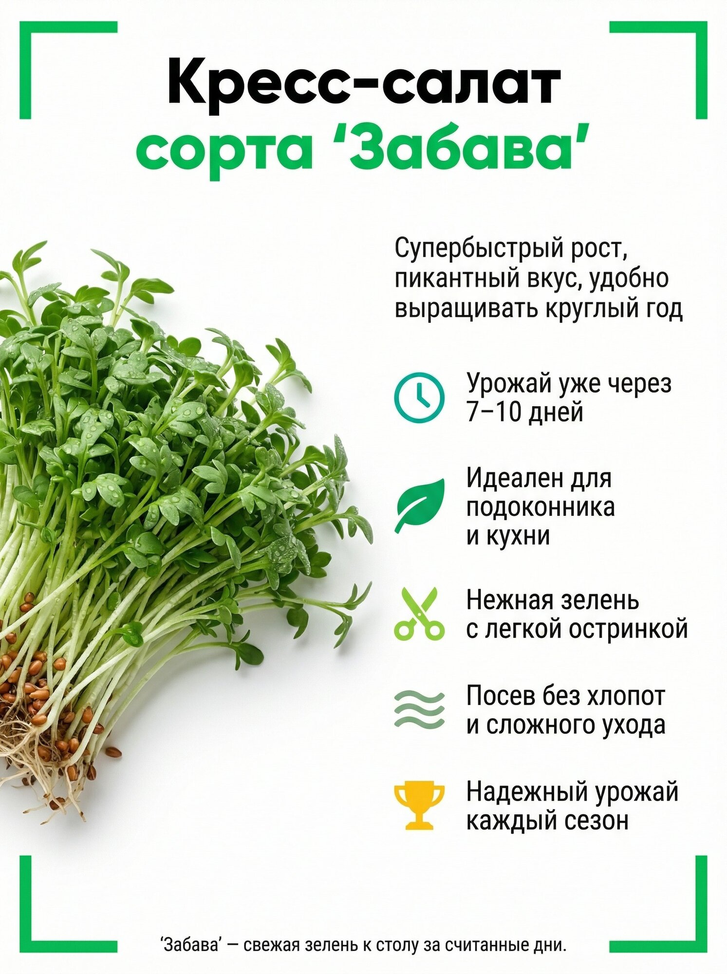 Семена Кресс-салата сорт "Забава"