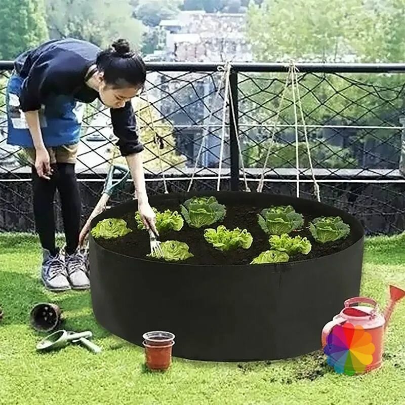Грядка — фото 1