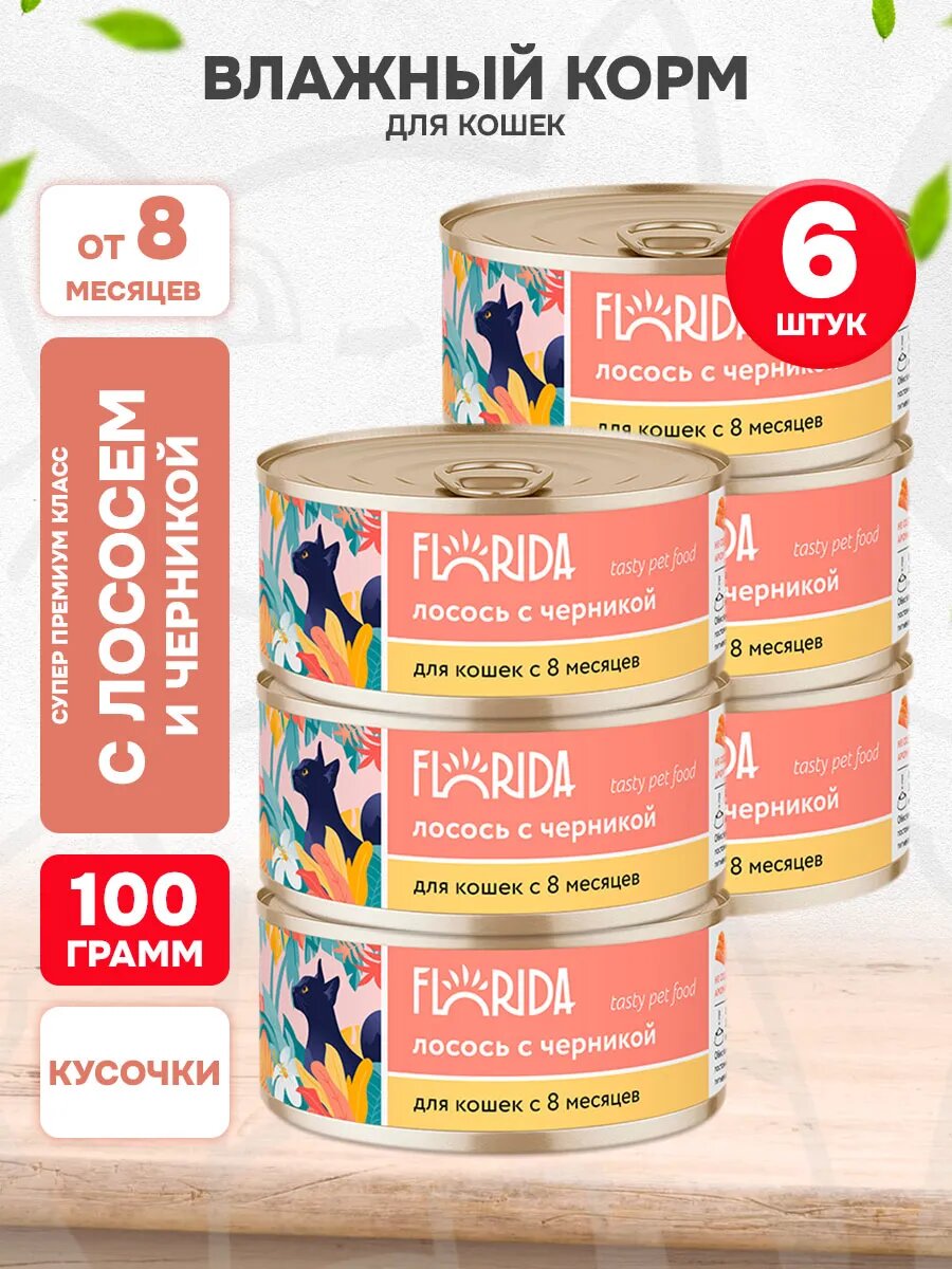 Корм влажный Florida для взрослых кошек, лосось и черника, 100 г х 6 шт