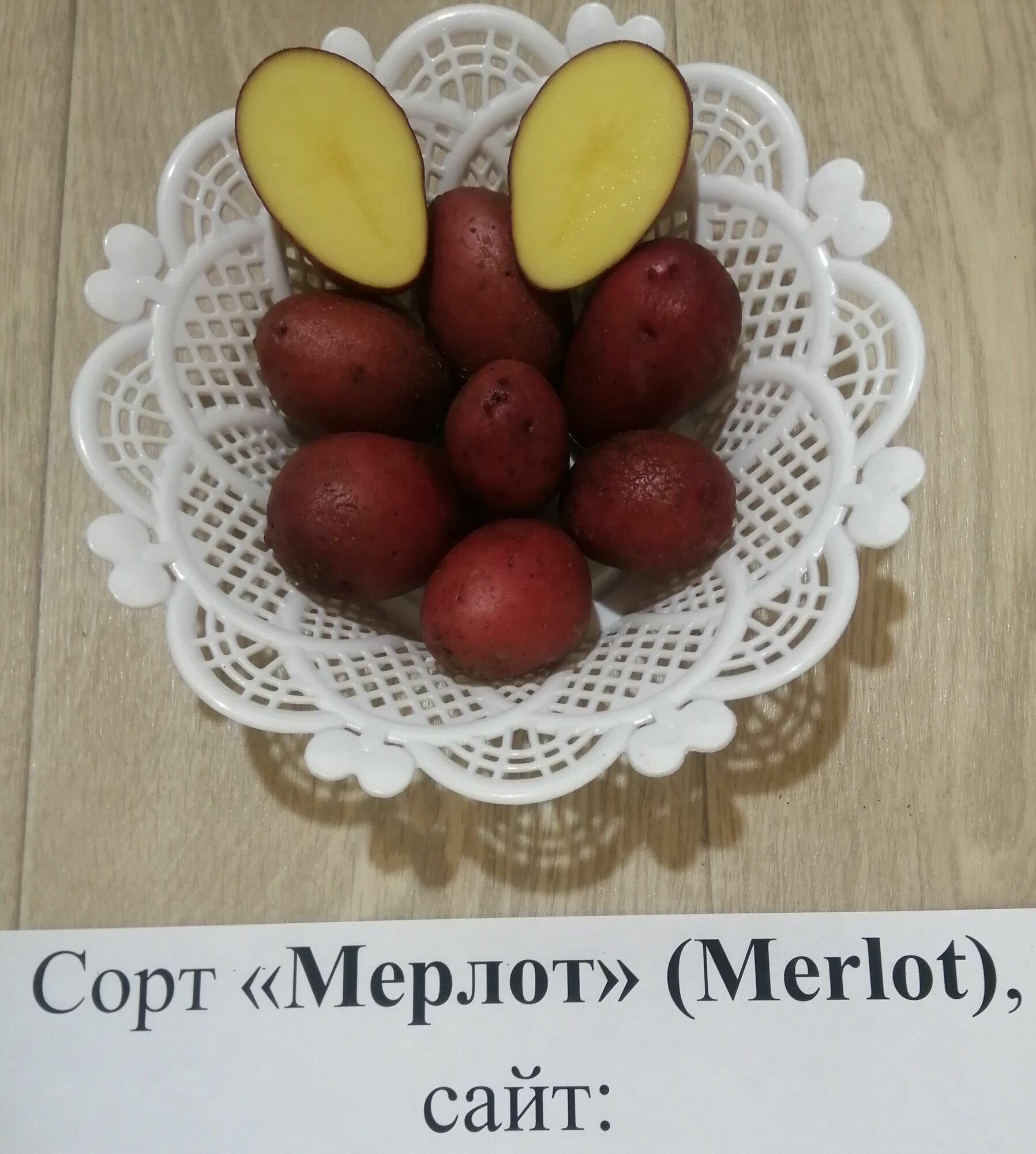 Мерлот - 2 кг.