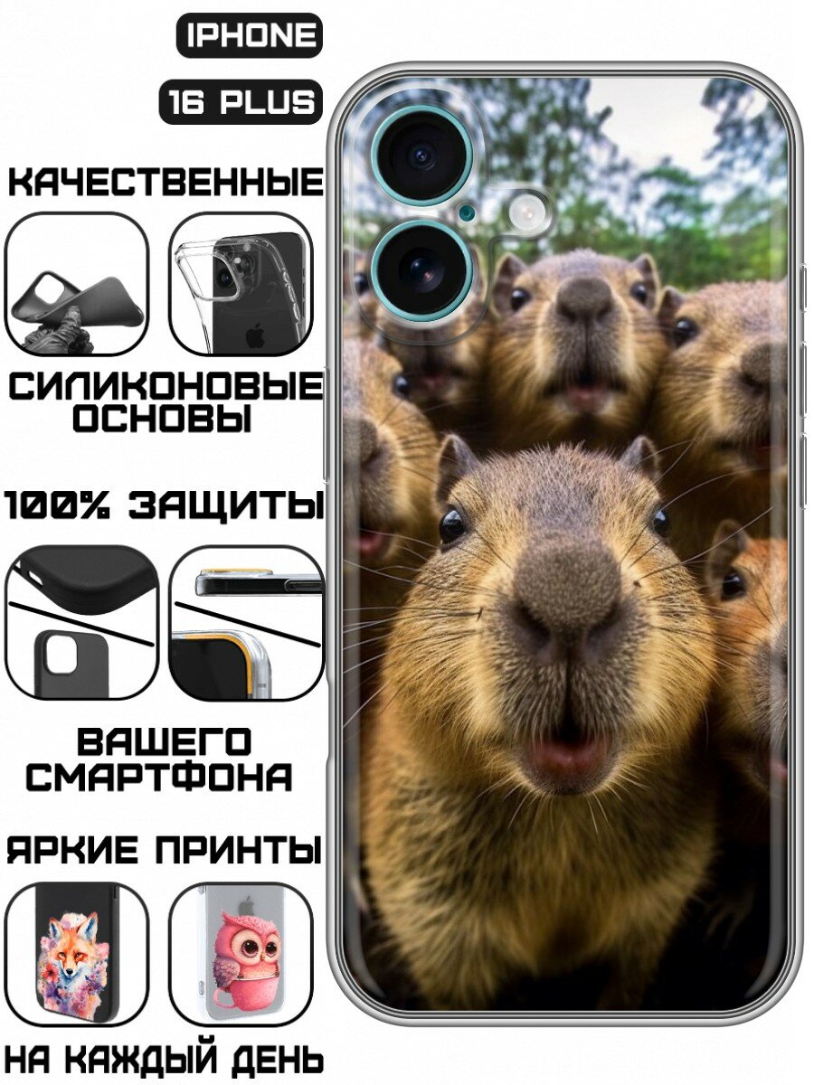 Чехол для Iphone 16 Plus с принтом Капибары (Айфон 16 Плюс)