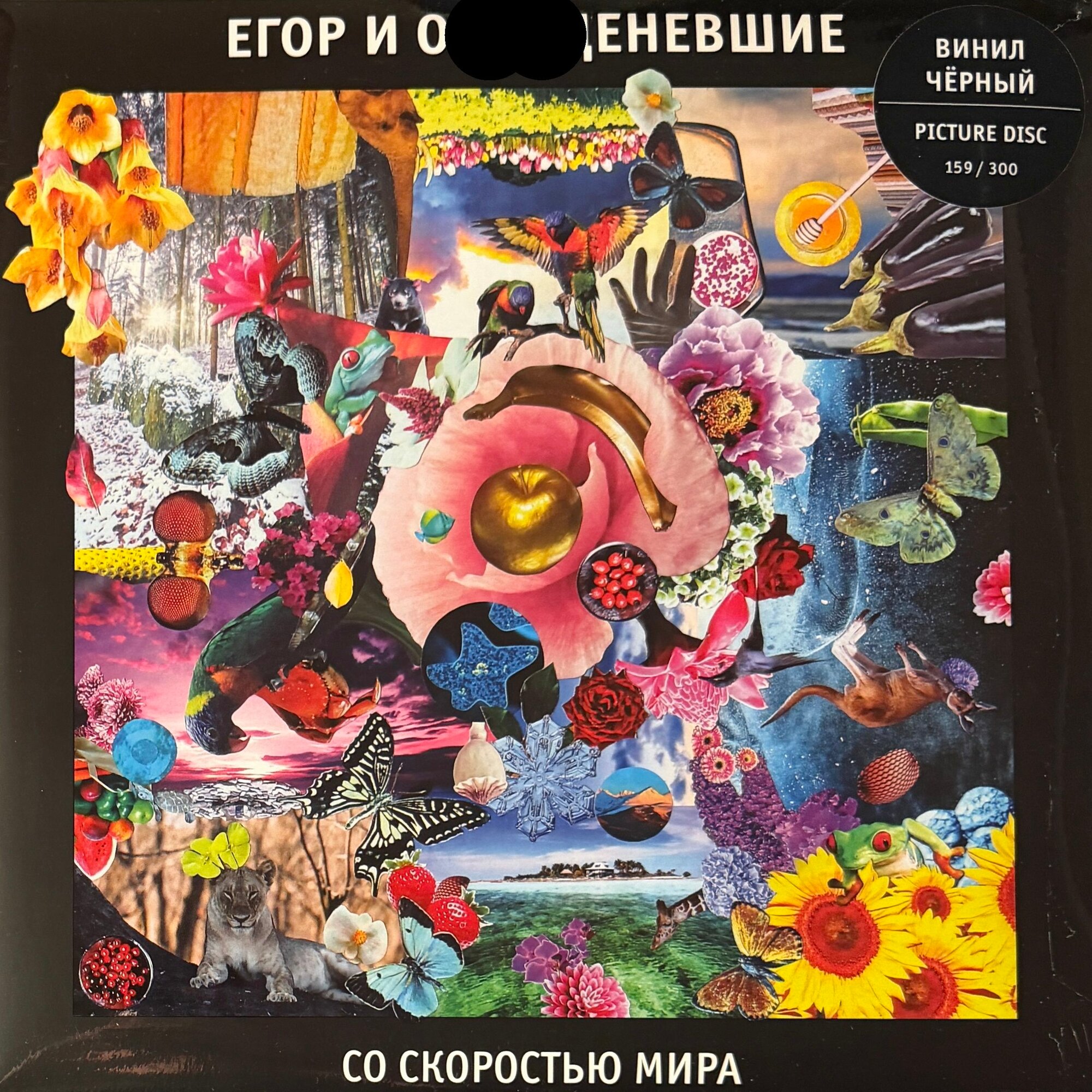 Виниловая пластинка Егор И Оп, Со Скоростью Мира 2LP (Pоcсия 2025г.) Black/Picture