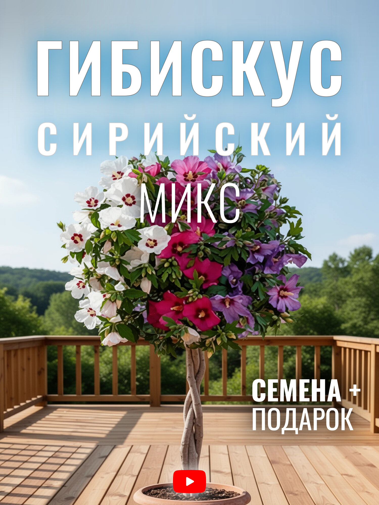 Гибискус Сирийский Микс, 25 семян, семена цветов, семена декоративных растений