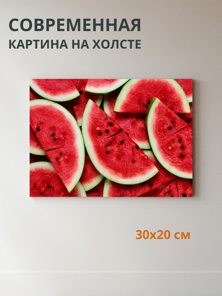 Картина на холсте Арбузные дольки 30x20 см
