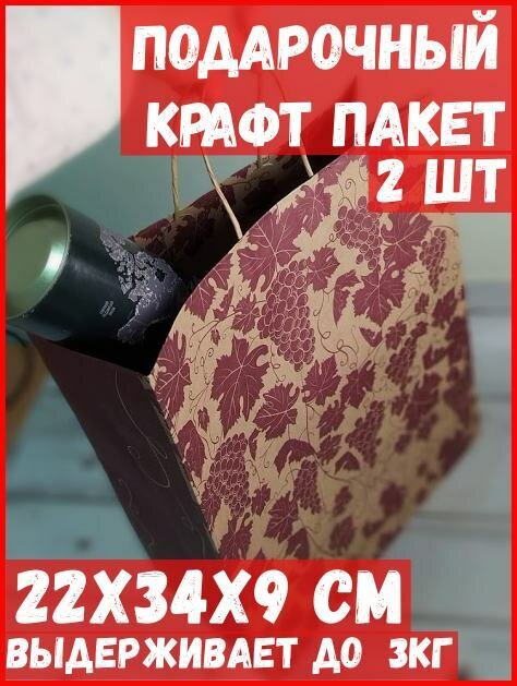 Пакет подарочный бумажный с принтом Виноградная лоза 22*34*9 см, набор 2 шт.