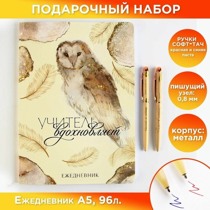 Подарочный набор Учитель вдохновляет : ежедневник А5, 96 листов и ручки софт-тач