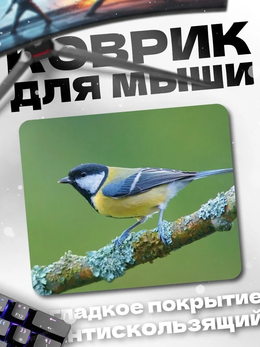 Коврик для мыши Синица на ветке