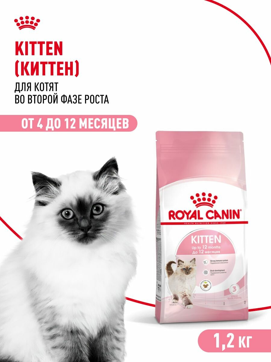 Сухой корм для котят Royal Canin Kitten, 1,2 кг