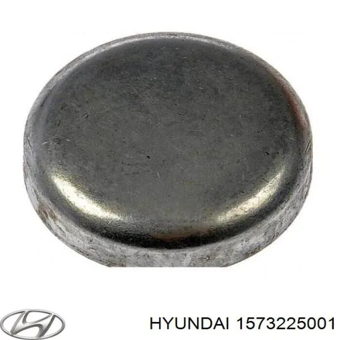Заглушка блока цилиндров HYUNDAI/KIA 15734-22000