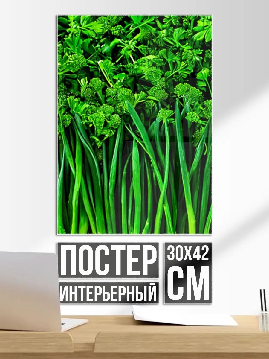 Постер на стену Зеленый лук и петрушка