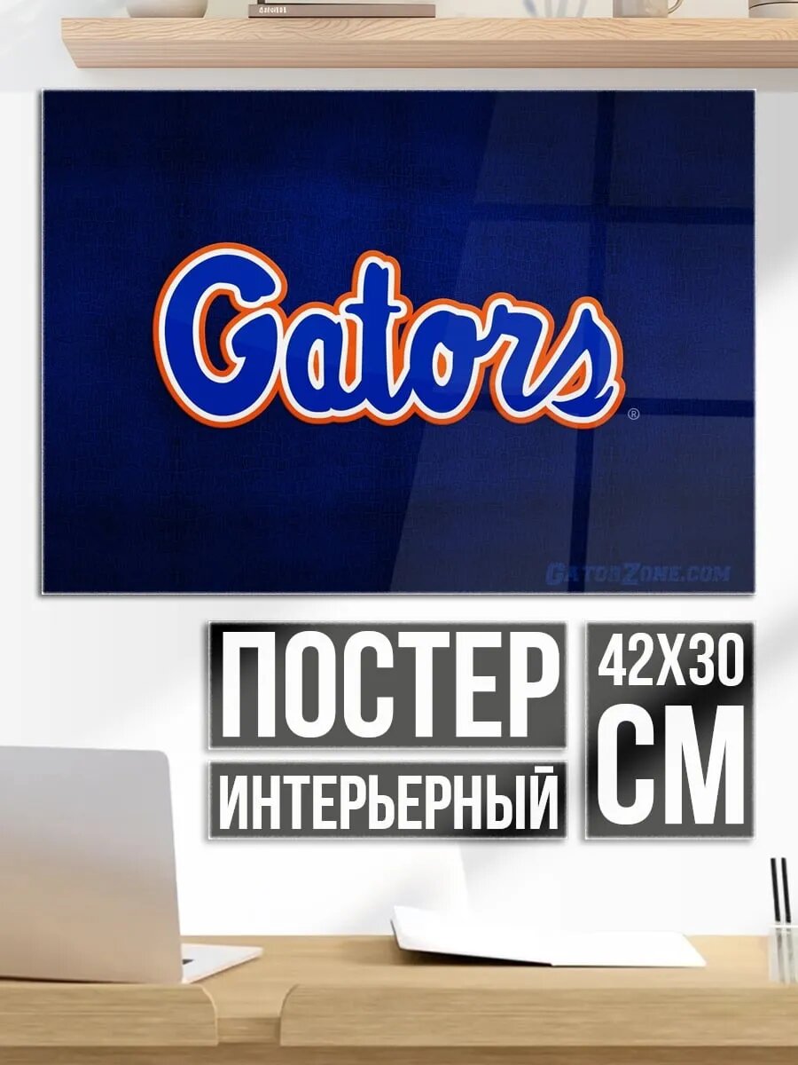 Плакат постер логотип Gators