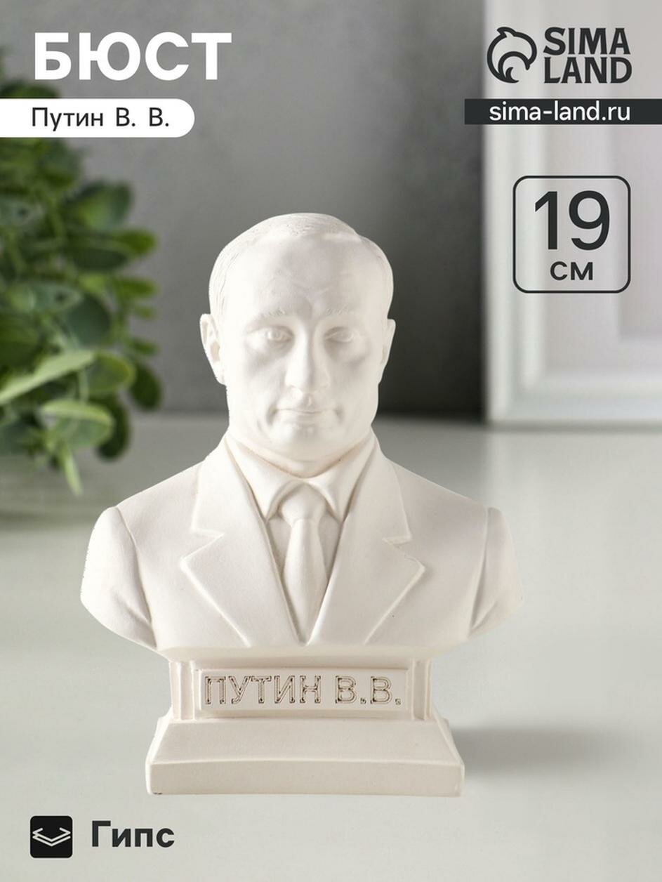 Бюст "Путин", фигурка гипс, цвет белый, 18×14×8 см