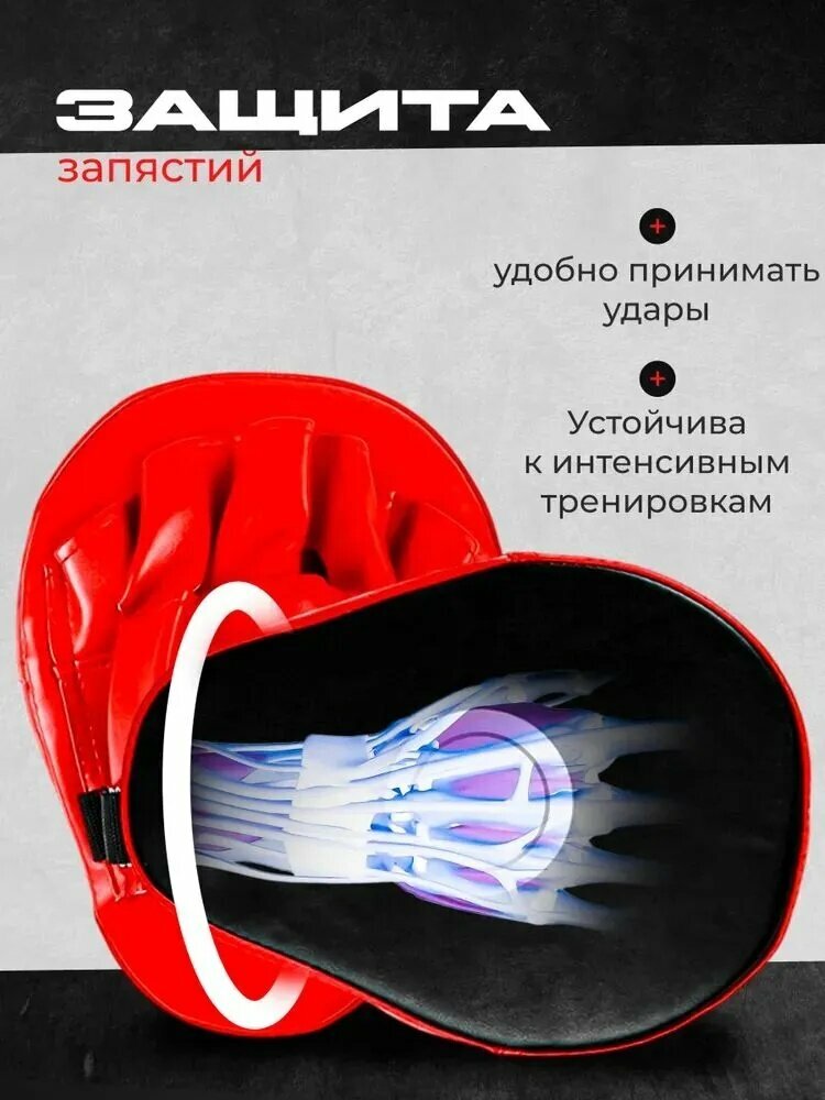 Лапа боксерская, 1 шт — фото 1