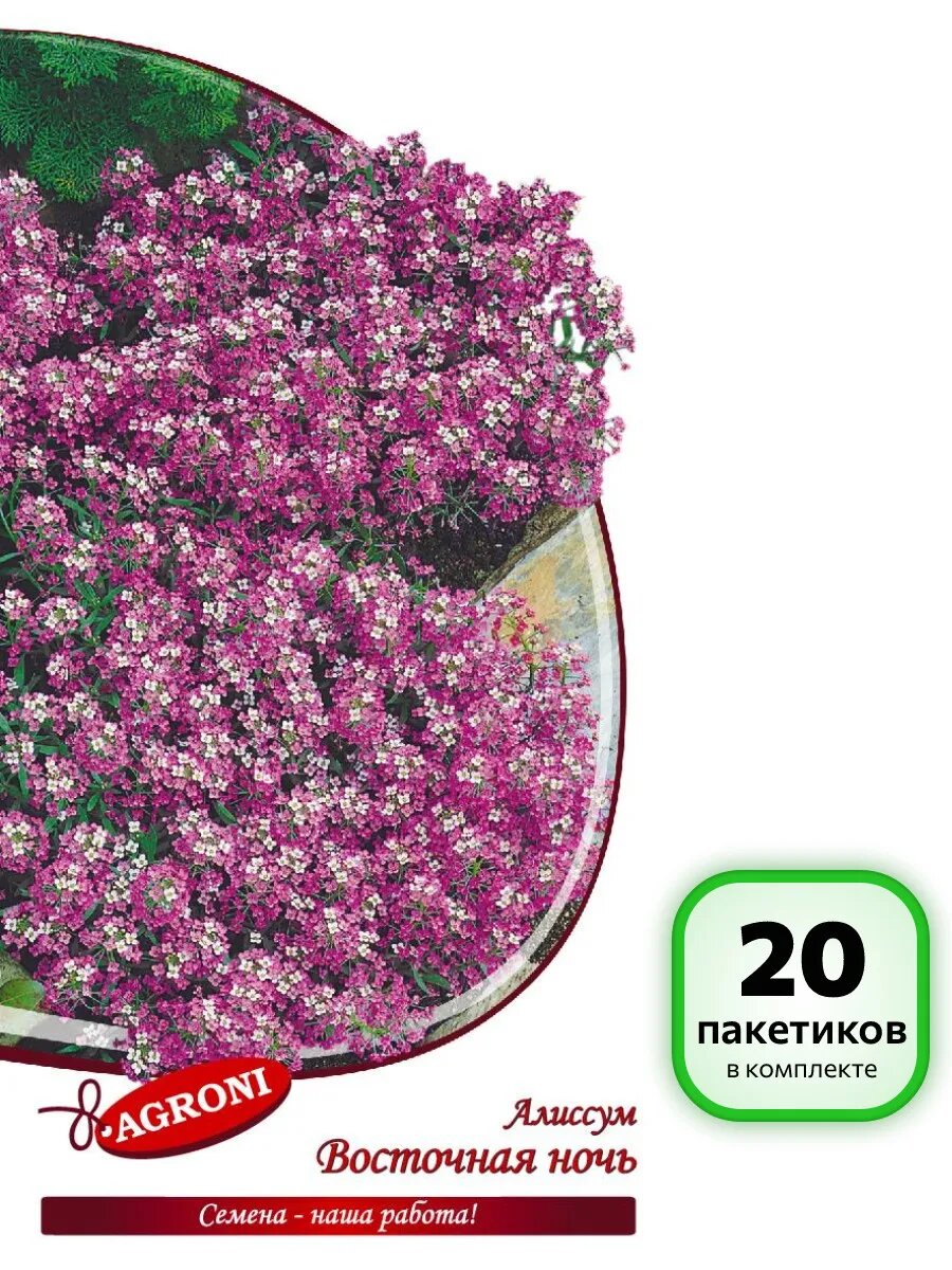 (20 шт.) - Семена Алиссум (лобулярия) Восточная ночь (0,1г)