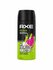Дезодорант Axe Epic Fresh, спрей, 150 мл