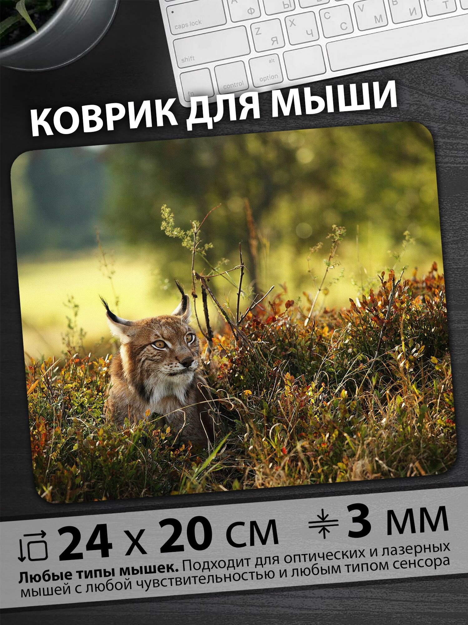 Резиновый коврик для мыши (24 x 20 см x 3 мм)
