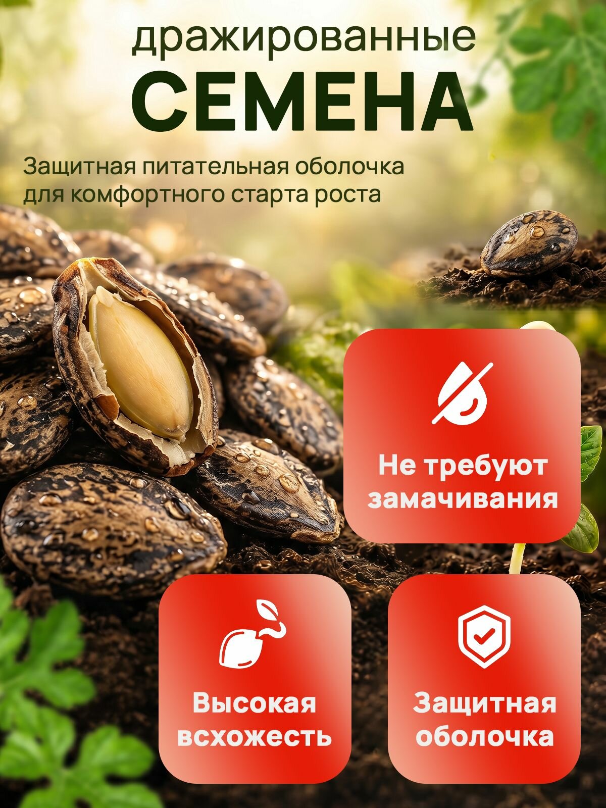 Семена Арбуза мини 10 штук Про Растения адаптированы для домашнего выращивания — фото 1