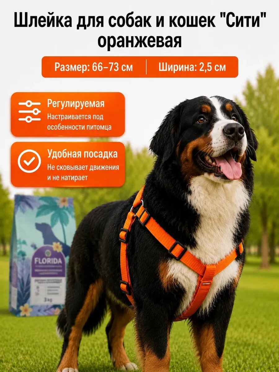 Yami-Yami шлейка Сити L оранжевая 25мм, ОШ 65-70см, ОГ 66-73см