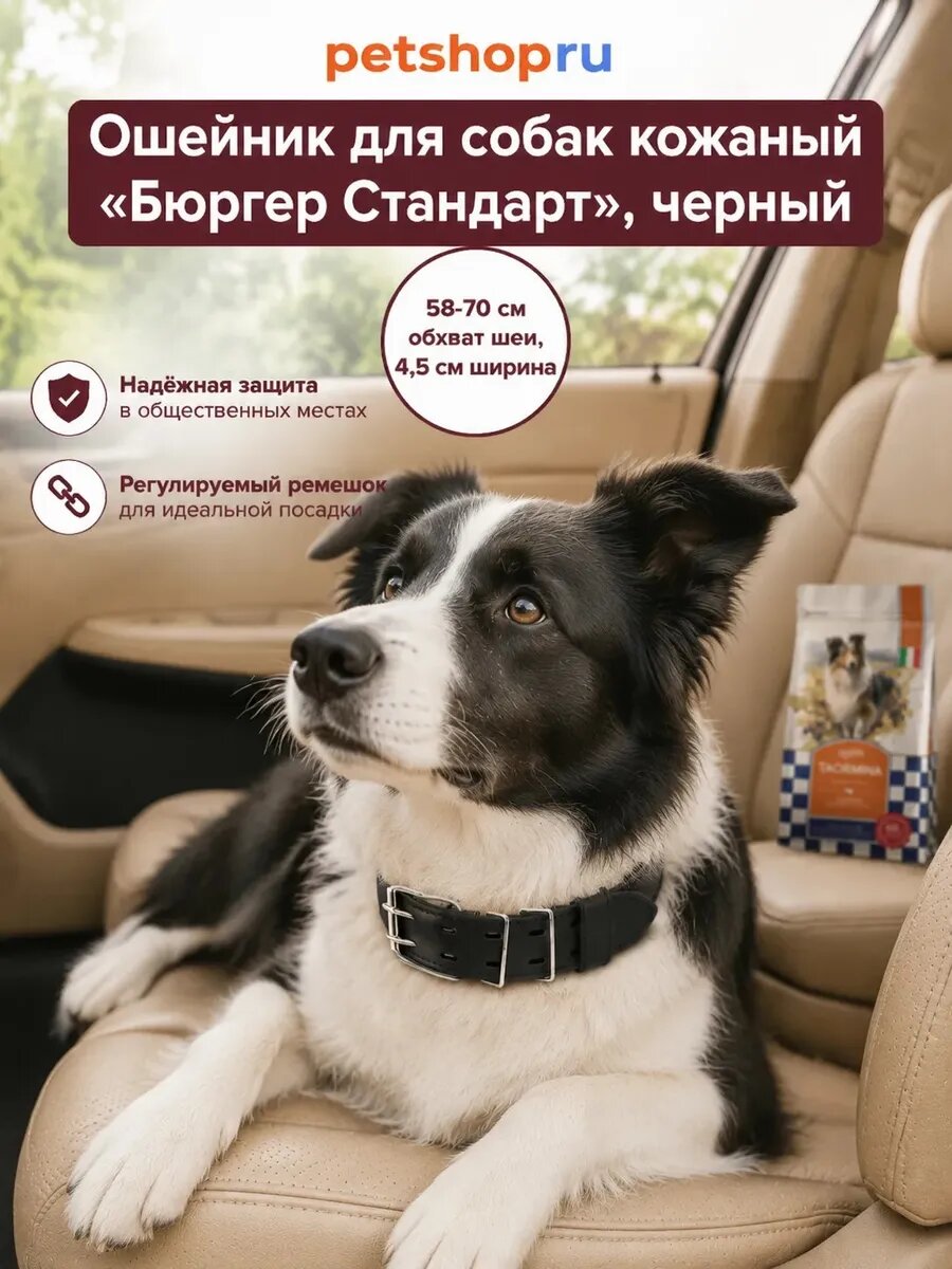 Ошейник двухслойный «Бюргер Стандарт», черный