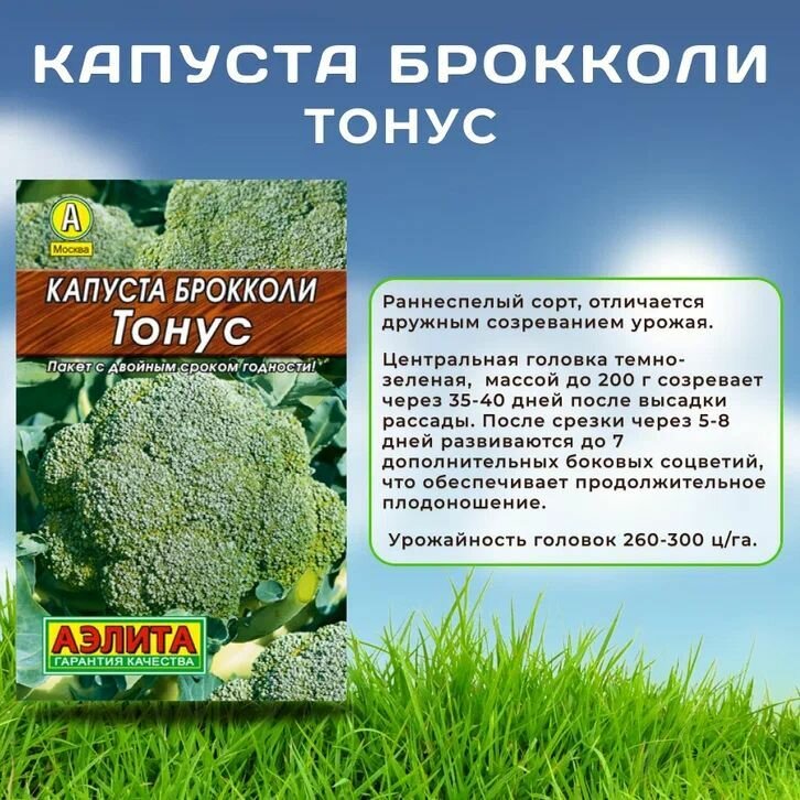 Семена Капуста брокколи Тонус, Агрофирма брокколи семена капуста