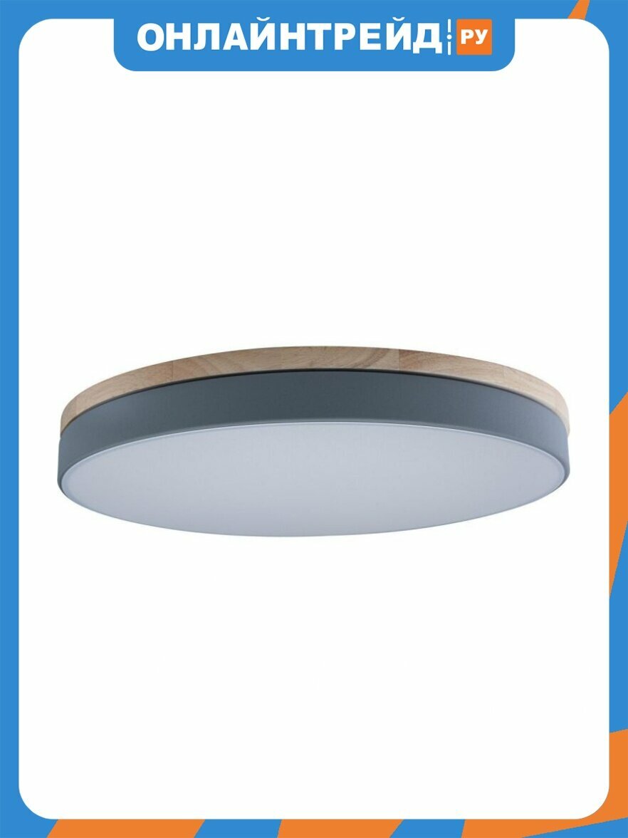Потолочный светильник Loft IT Axel 10001/36 grey