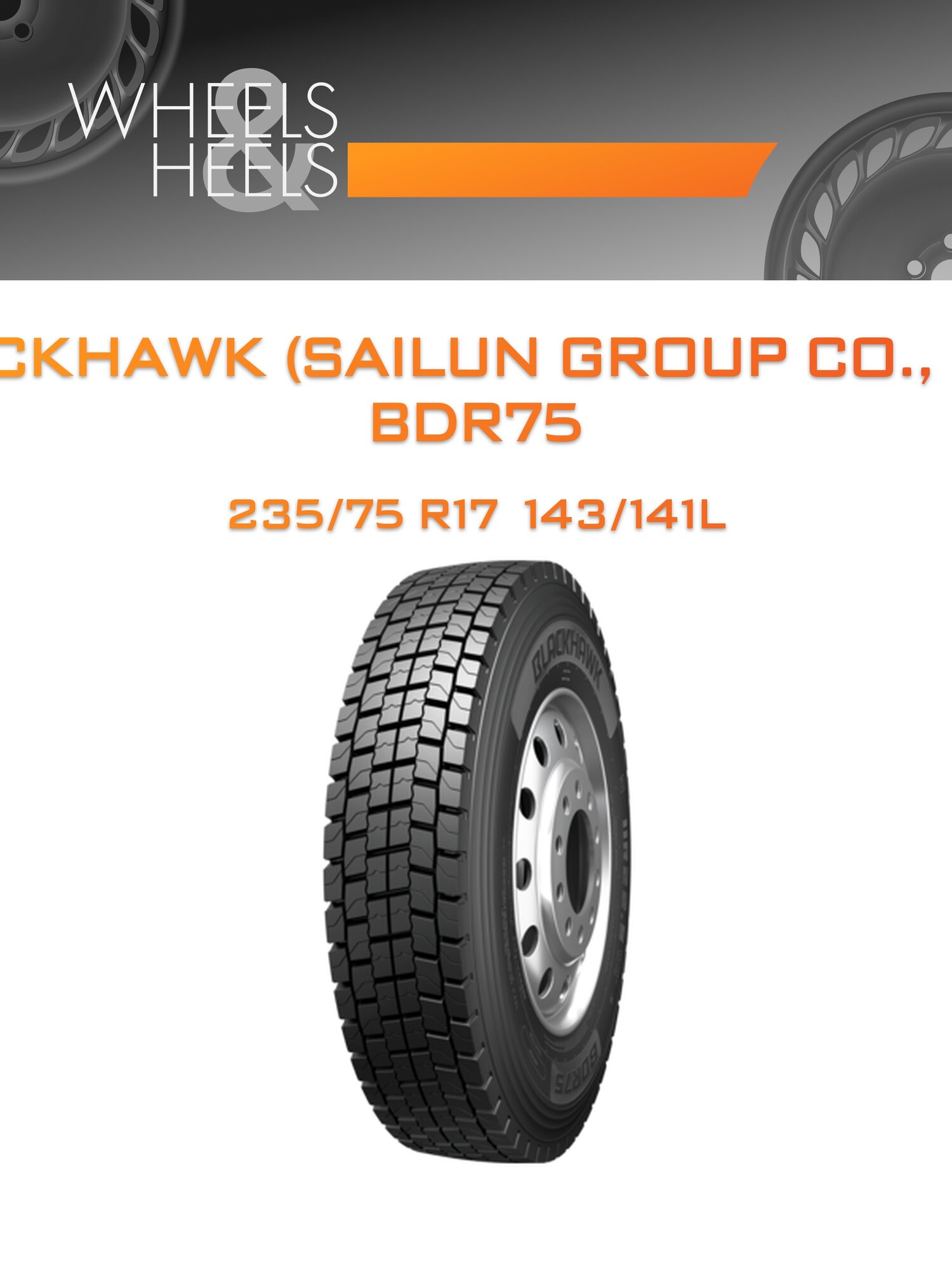 Шина автомобильная Blackhawk (Sailun Group Co, LTD) BDR75 235/75 R17.5 143/141L ALLSEASON, всесезонная, универсальная