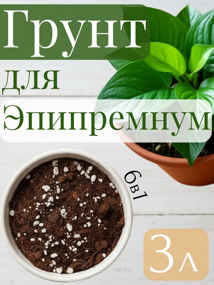 Готовый грунт для Эпипремнум 3 литра
